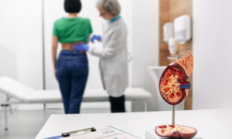 ¿Cuáles son las enfermedades renales más comunes? | Escuela Clínica